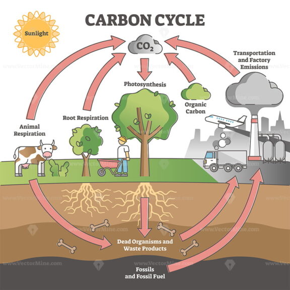 Methane cycle diagram, global pollution process vector illustration ...
