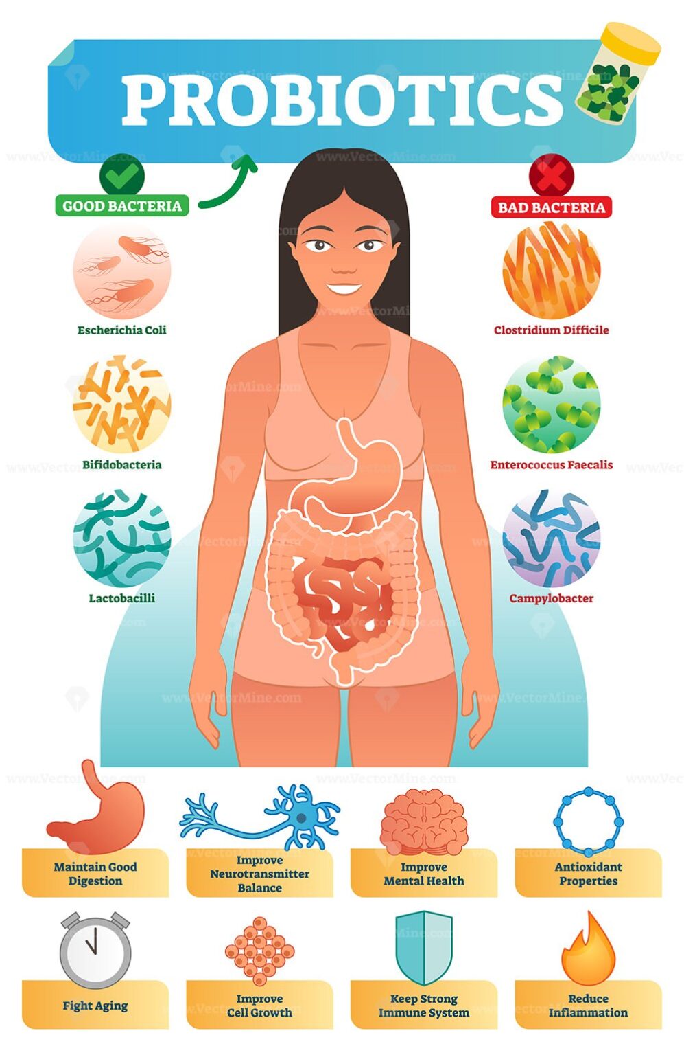 Vector illustration with probiotics – VectorMine