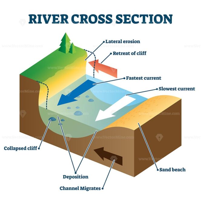 River systems and drainage basin educational structure vector ...