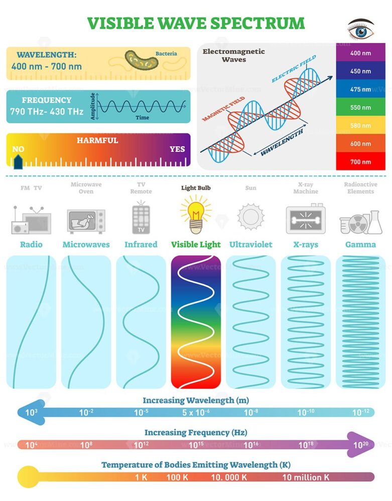 Electromagnetic spectrum vector diagram – VectorMine