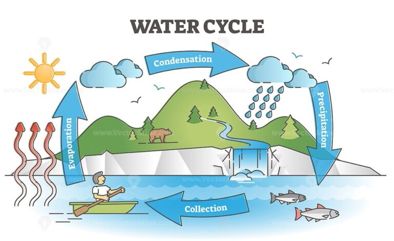 Water cycle diagram with precipitation and condensation outline concept ...