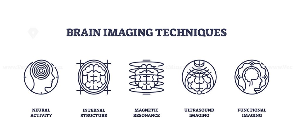 Brain imaging techniques icons show neural activity, brain structure ...
