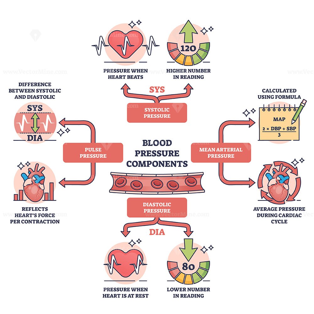 Blood pressure chart by age as systolic or diastolic readings outline ...