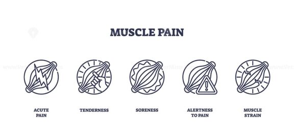 Muscle pain icons depict various pain types using simple outlines ...