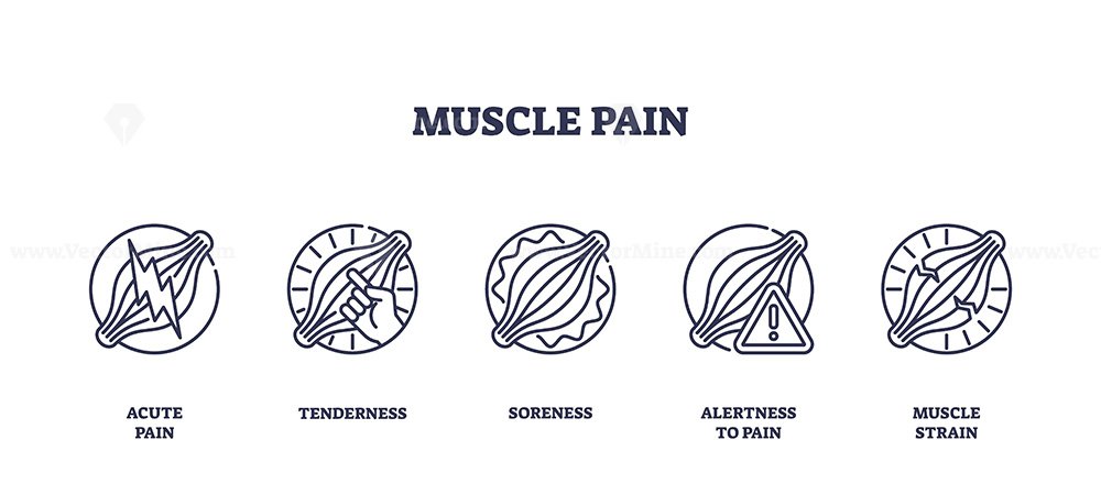 Muscle pain icons depict various pain types using simple outlines ...